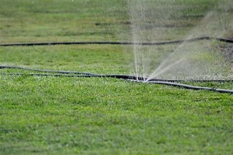 무료 사진 자작나무 잔디 잔디 필드 여름 야외에서 풍경 자연 농촌 농업
