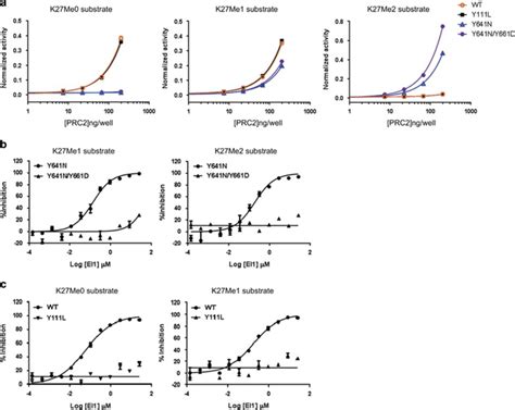 Development Of Secondary Mutations In Wild Type And Mutant Ezh2 Alleles Cooperates To Confer