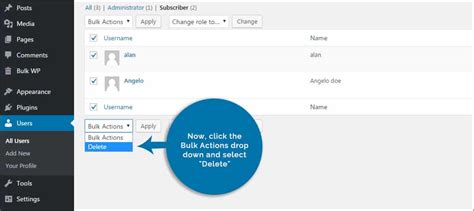 How To Bulk Delete Users In Wordpress According To Their Roles Greengeeks