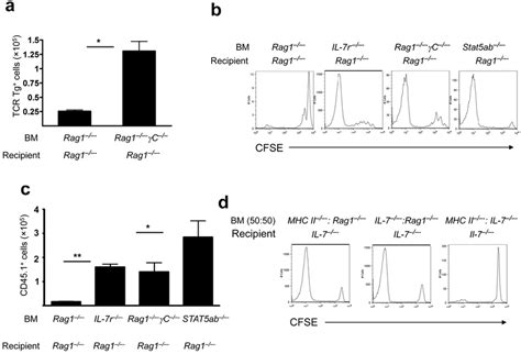 Il 7 Signaling On Bm Derived Cells Inhibits Cd4 T Cell Homeostatic