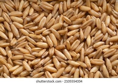 Naked Seeds Images Stock Photos Vectors Shutterstock