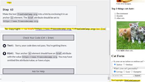 Stuck Step 63 Cat Photo App Html Css The Freecodecamp Forum