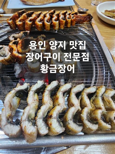용인 양지 맛집 장어구이 전문점 황금장어 네이버 블로그