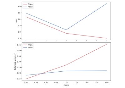 Examples Braindecode 0 8 Documentation