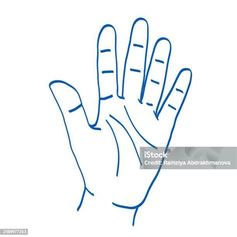 손 제스처 스케치 손가락으로 세는 것 하나 둘 셋 넷 다섯 손바닥 검지 가운데 반지 새끼손가락 엄지 1에 대한 스톡 벡터 아트 및 기타 이미지 Istock