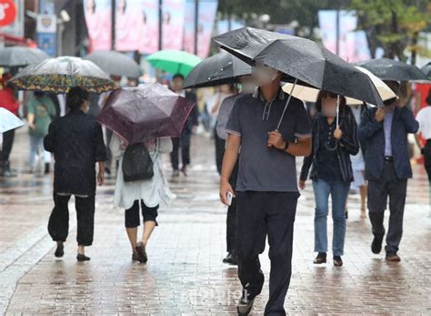 전국 대부분 지방에 비우산 쓰고 걸어가는 시민들 네이트 뉴스