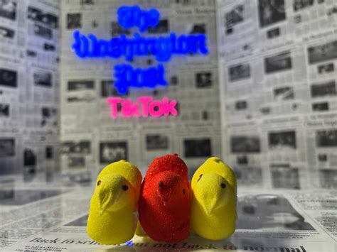Our Tiktok Peeps Diorama Contest Winners For 2023 The Washington Post
