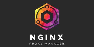 Local DNS For Docker Containers Using Pi Hole Portainer Nginx Proxy Manager