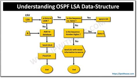 Understanding OSPF LSA Data Structure IP With Ease