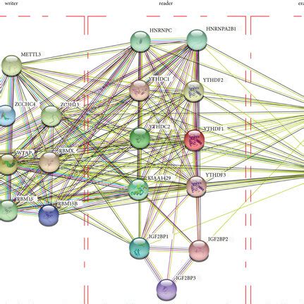 The Expression Of M6A Methylation Genes In HCC A Heat Map Showed The