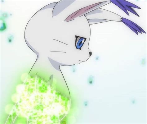 Pin de LDaniel Gómez en Digimon Gatomon Digimon Digimon adventure tri