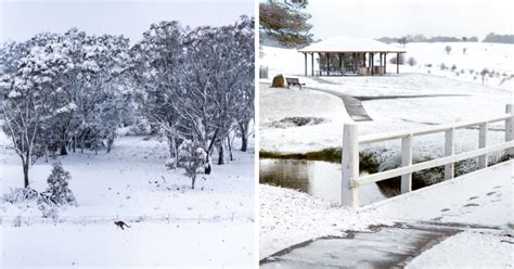 Does It Snow In Sydney Australia And Best Places To See Snow Near