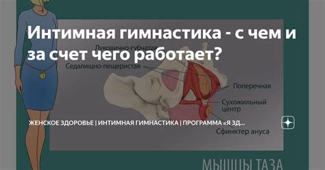 Интимная гимнастика с чем и за счет чего работает ВОССТАНОВЛЕНИЕ ПОСЛЕ РОДОВ ЖЕНСКОЕ
