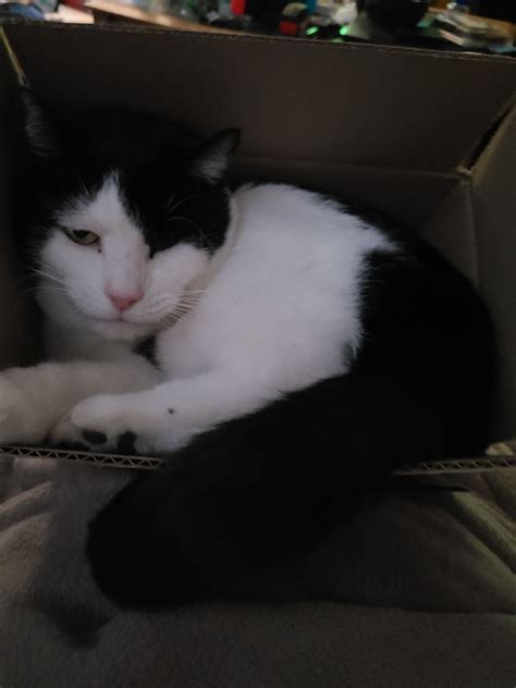 I Fits R Tightpussy