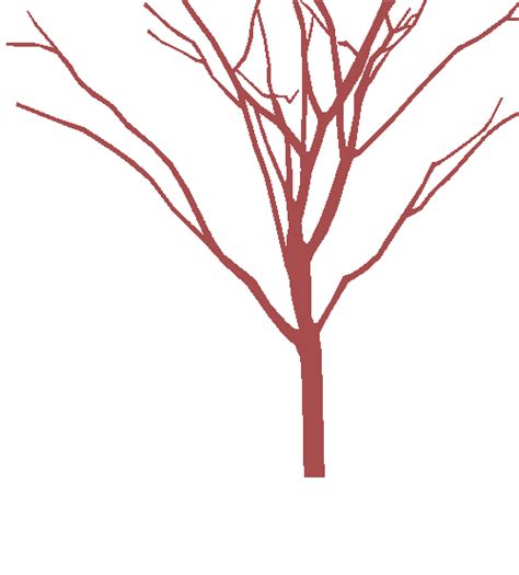 Urban Street Branch Dataset Ninja