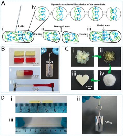 Polyelectrolyte Based Conductive Hydrogels From Theory To Applications