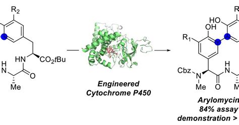 Artificially Evolved Enzyme Tackles Tricky Cross Coupling Research