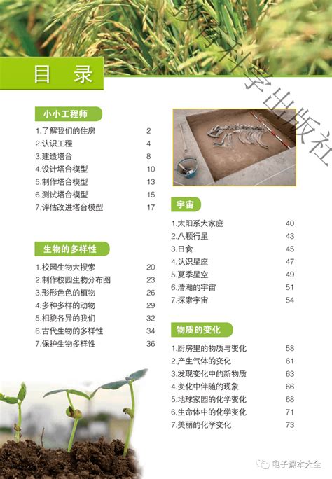 教科版六年级下册科学电子课本教材（高清pdf版）小学资源任何理由