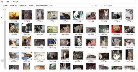 Kaggle猫狗数据集开源——用于经典cnn分类实战 阿里云开发者社区