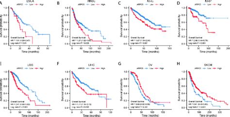 Arpc5 Expression Significantly Correlated With Os Based On Kaplan Meier