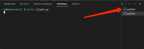 Mastering Reverse Shell Techniques For Secure Remote Management Labex
