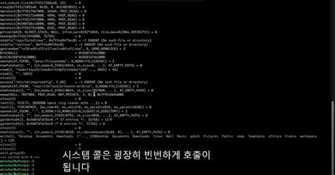 운영체제 시스템 호출 직접 관찰하기 기술노트 블로그