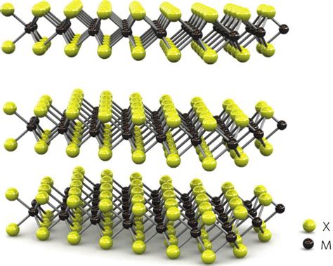 3 Three Dimensional Schematic Representation Of A Typical M X 2