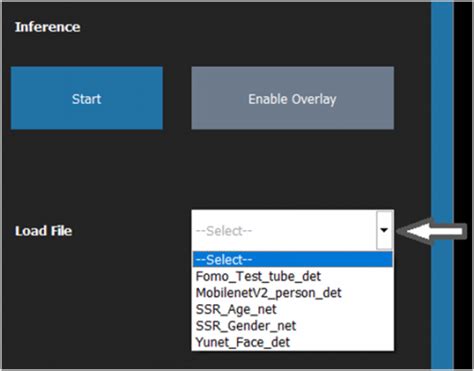 Unleashing The Power A Guide To Model Inference And Visualizing Output