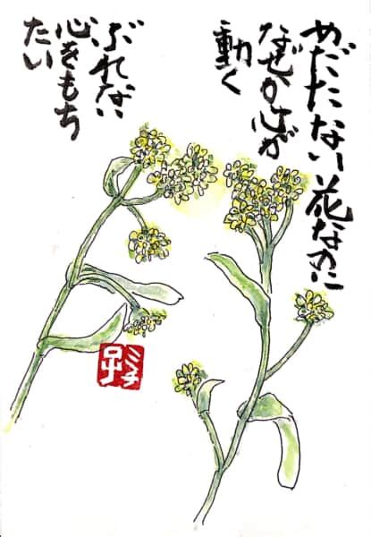 菜の花 絵手紙 交流ひろば てがみ倶楽部