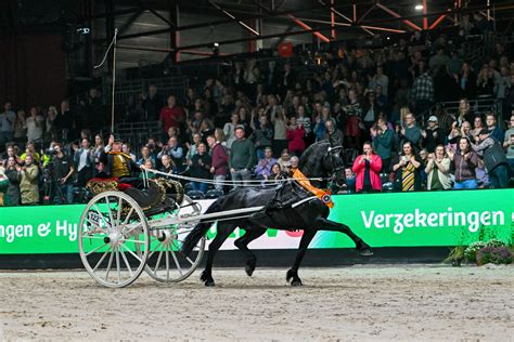 Gosse 526 Nieuwe Kampioen Friese Dekhengsten Voor De Sjees Kfps