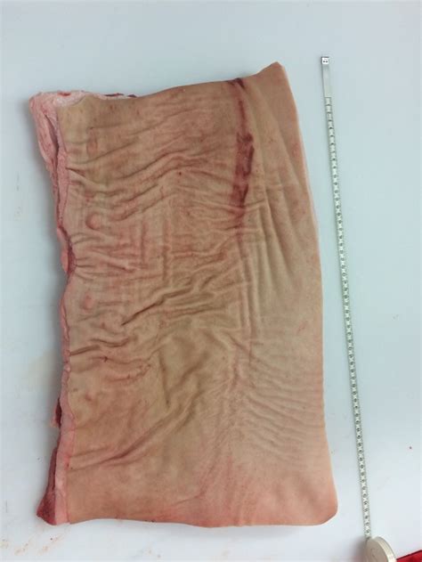 Premium Quality Boneless Pork Bellies Rind On From Meatex