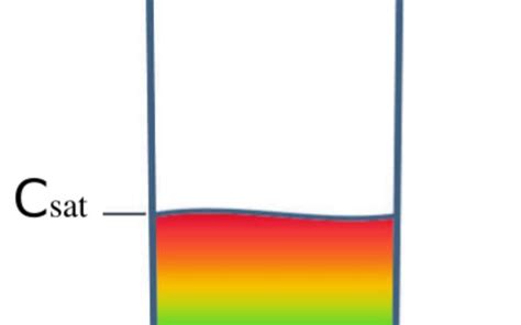 Oxygen Diffusion And Flux In Cell Culture Lucid Scientific Observable