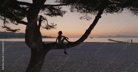 Mujer Mirando El Amanecer Y Atardecer En Lo Alto De Un árbol En La