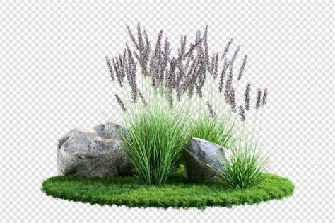 3d Rendering Of Grass And Shrub Arrangements Premium Psd Shrubs 3d Rendering Of Grass And Shrub Arrangements Premium Psd Shrubs