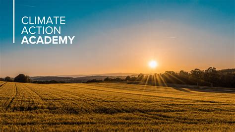 Flag Standard Of The Sbti