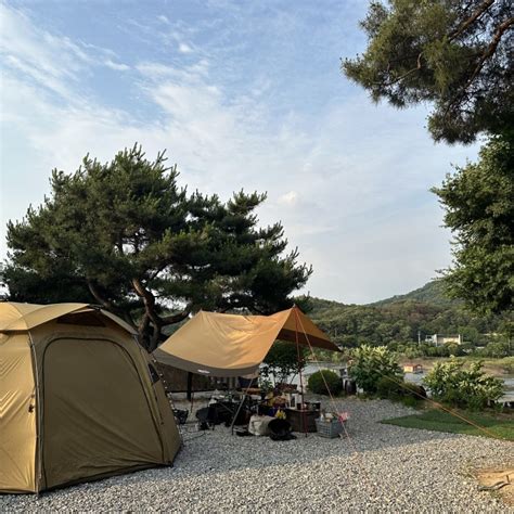 서울 근교 캠핑장 │ 또 가고싶은 안성 히든캠프 네이버 블로그
