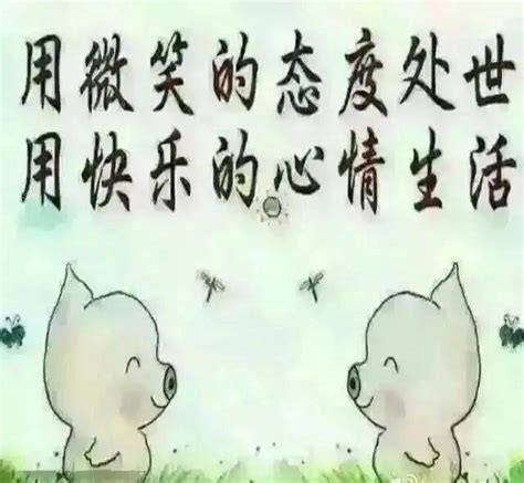 短短一段话，悟透人生！阳光步一真谛