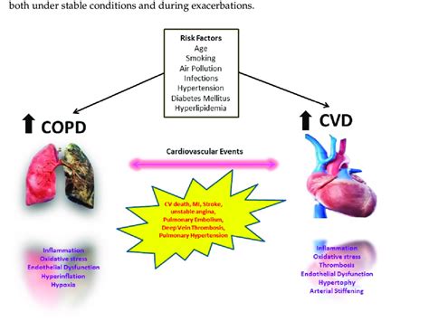 Interplay Between Copd And Cardiovascular Diseases Interplay Between Download Scientific