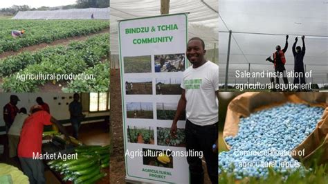 Bindzu Agrobusiness E Consultoria Lda On Linkedin