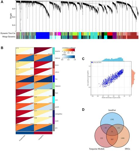 Wgcna Analysis Screening Key Module In Sci A The Cluster Dendrogram