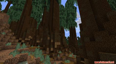 Sequoia Trees Data Pack 1minecraft