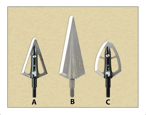 Rethinking Arrow And Broadhead Performance Article 5 Dallas Safari Club