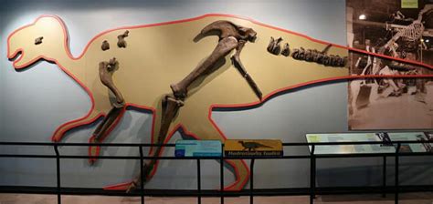 Hadrosaurus The First Dino Discovered In North America