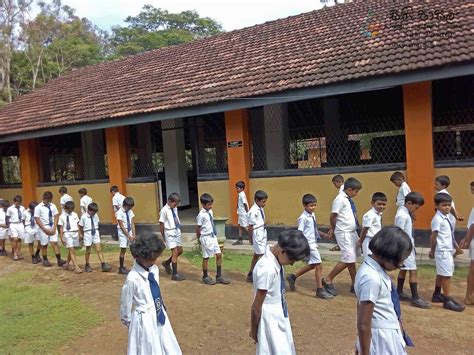 සති පාසල වැඩසටහන බප ගම් මගලේගොඩ ප්‍රාථමික විද්‍යාලය Sati Pasala Or How To Practice Mindfulness