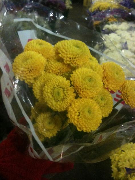 Yellow Button Mum Wedding Planning How To Plan Wedding