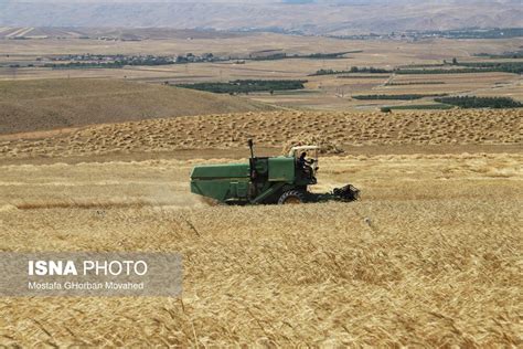 جلالی امیدوارم اعتبارات بخش کشاورزی لایحه بودجه ۱۴۰۴ در مجلس اصلاح شود