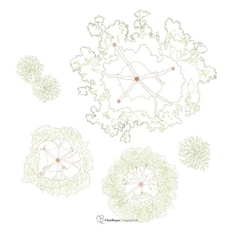 Cad Detailed Trees Toffu Co Color Vector Architecture Presentation Tree Plan