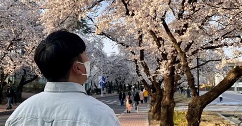 전기고치는총각 고수의 전등 교체설치 서비스 대구 수성구 숨고 숨은고수
