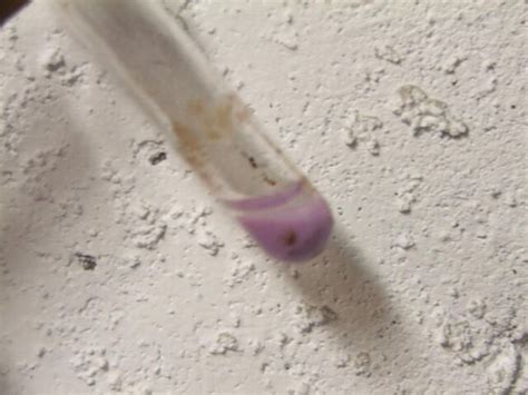 Chemistry Cobalt Ii Hydroxide Handwiki