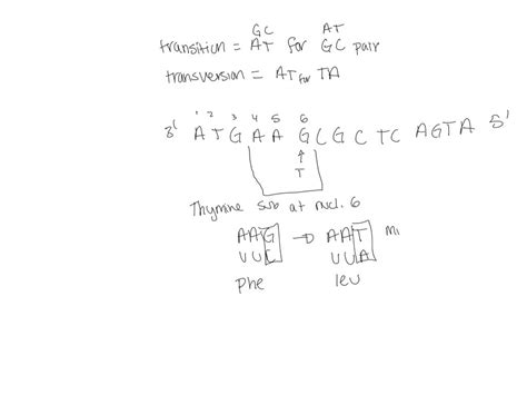 solved the given dna non template sequence coding sequence is